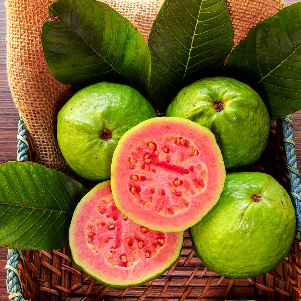 The High Demand Guava Species in Singapore - Top Farm Fruits Pte. Ltd ...
