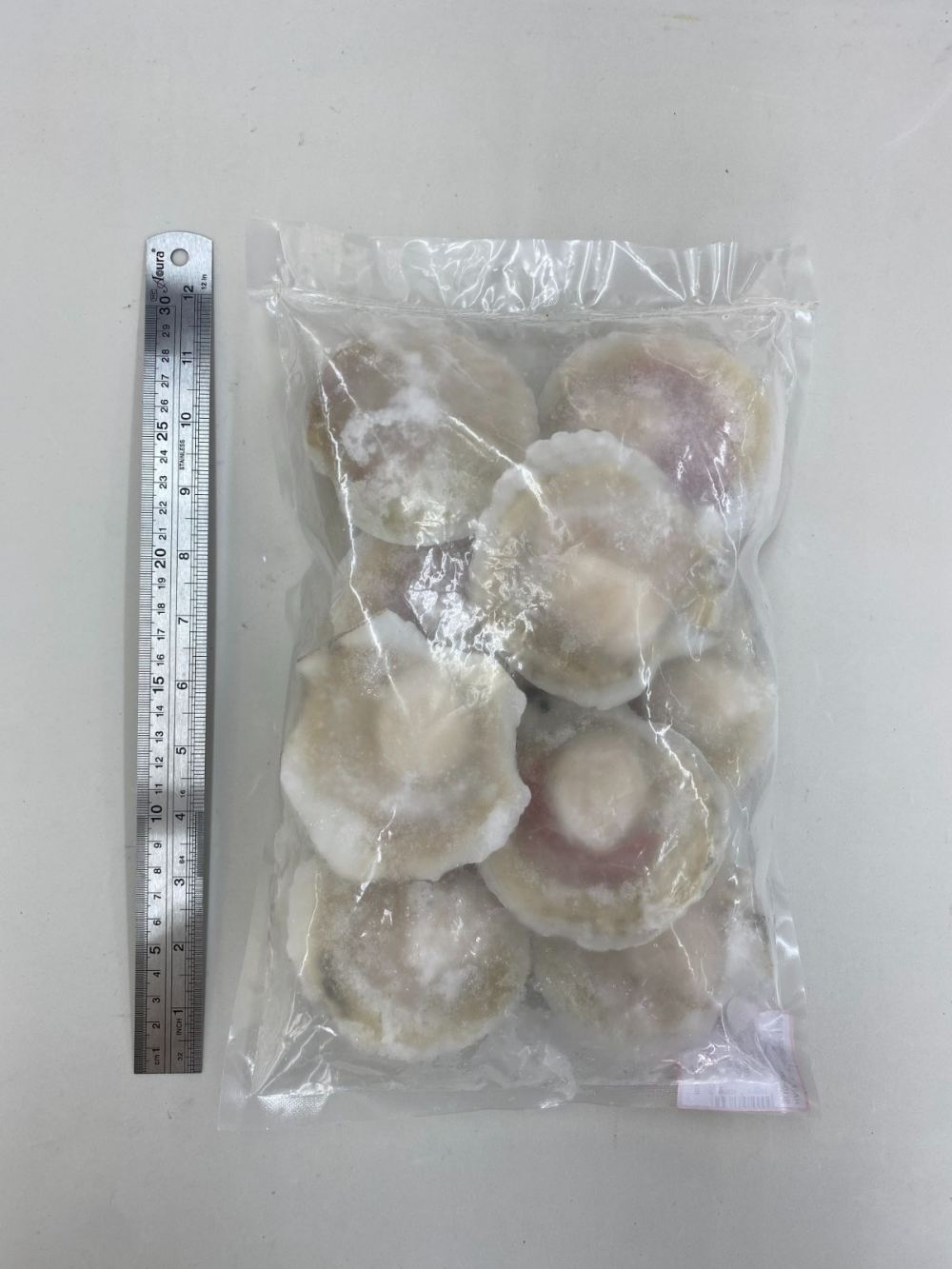 Selangor SCALLOP (HALF SHELL) - CRUSTACEAN from HAI KEE HUNG SDN BHD