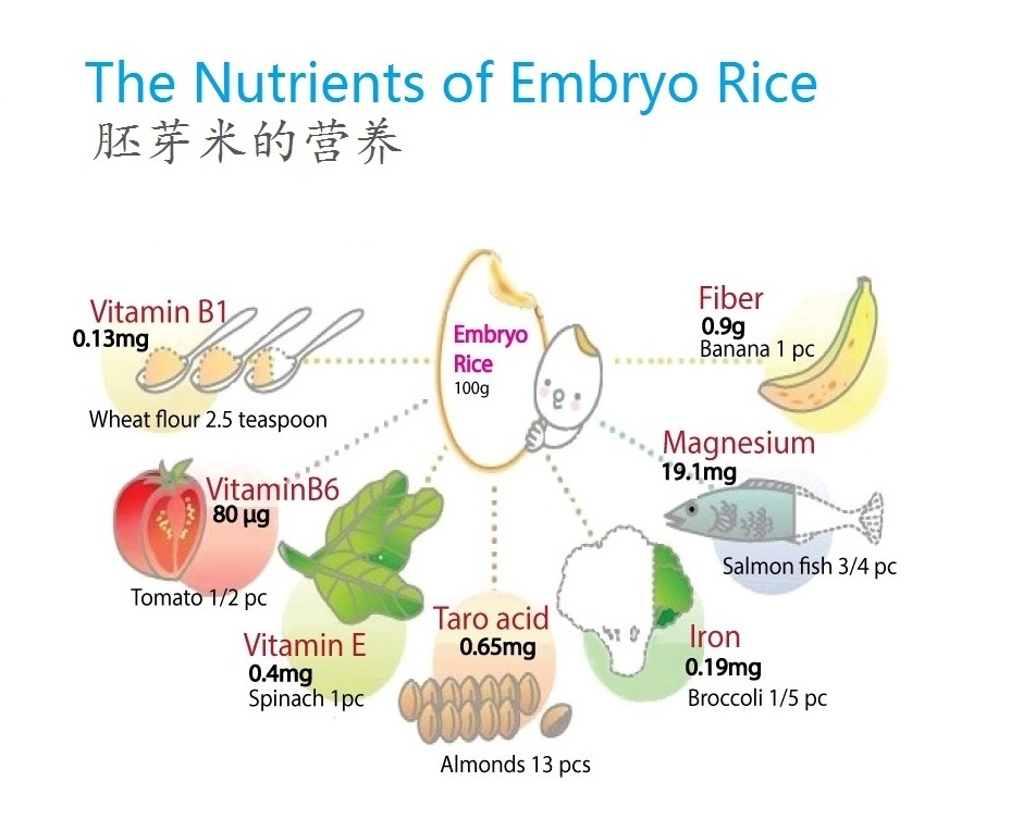 Embryo Rice Machine MR-E500 胚芽米机, Kitchen Apps - Eujime Enterprise - ID ...
